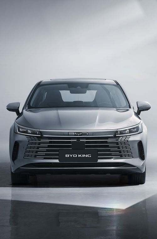 BYD King